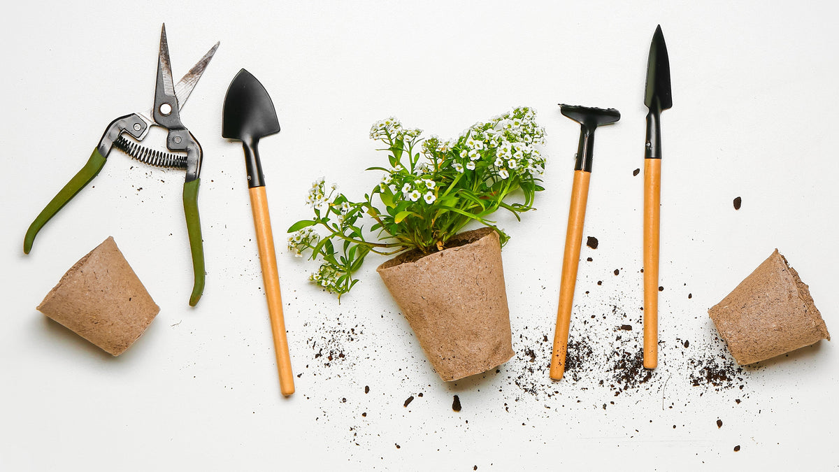 CRONJAGER – Cronjager