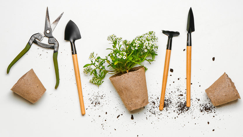 CRONJAGER – Cronjager